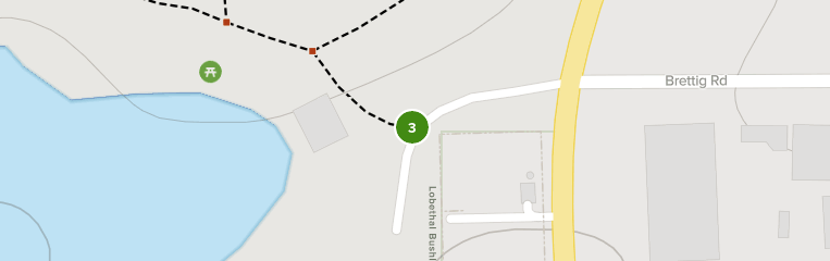 Best 10 Trails in Lobethal Bushland Park | AllTrails