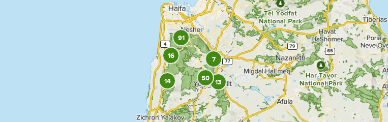 Mount Carmel National Park: as 10 melhores trilhas | AllTrails