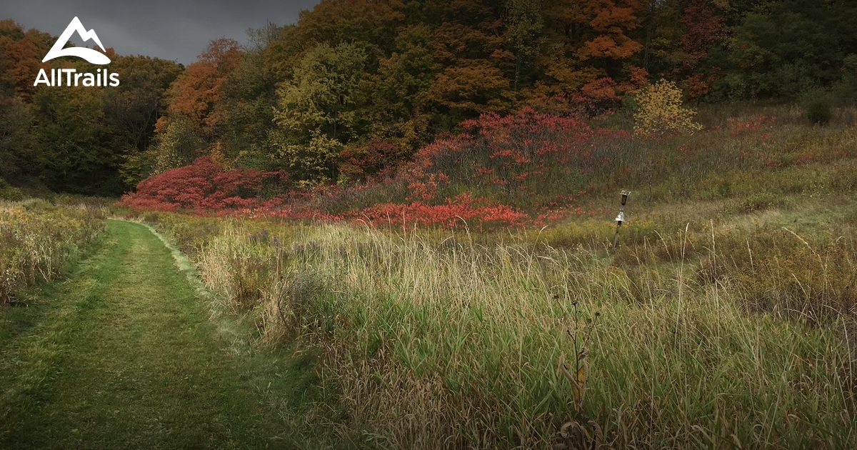 Best hikes and trails in Cold Creek Conservation Area | AllTrails