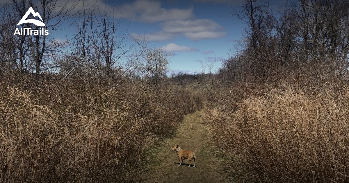 Best hikes and trails in Donald J. Trump State Park | AllTrails