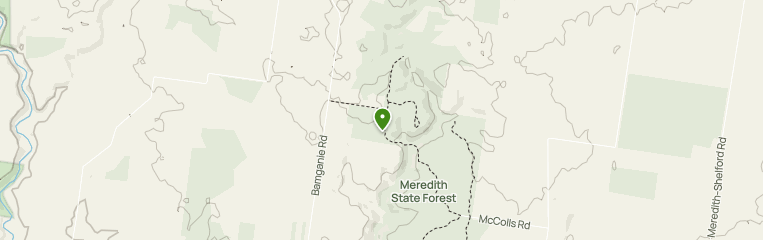 Best Hikes and Trails in Meredith State Forest | AllTrails