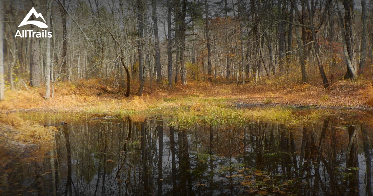 Best hikes and trails in Squannacook River Wildlife Management Area ...