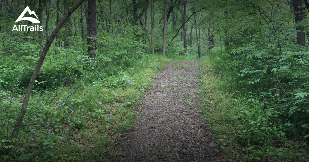 Best hikes and trails in Parma Woods Conservation Area | AllTrails