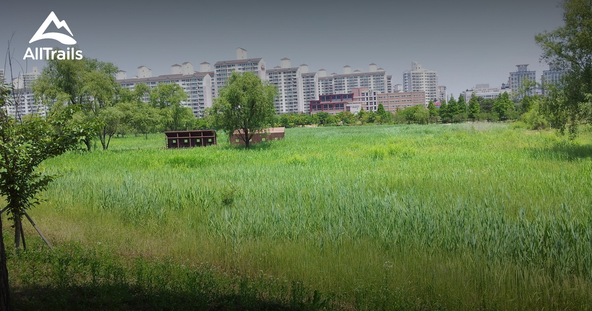 Best hikes and trails in Ansan Lake Park | AllTrails
