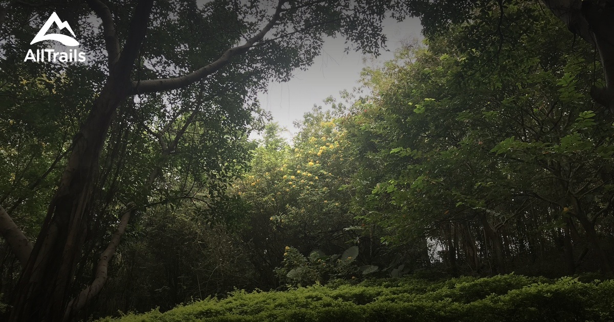Best hikes and trails in Guangzhou Sculpture Park | AllTrails
