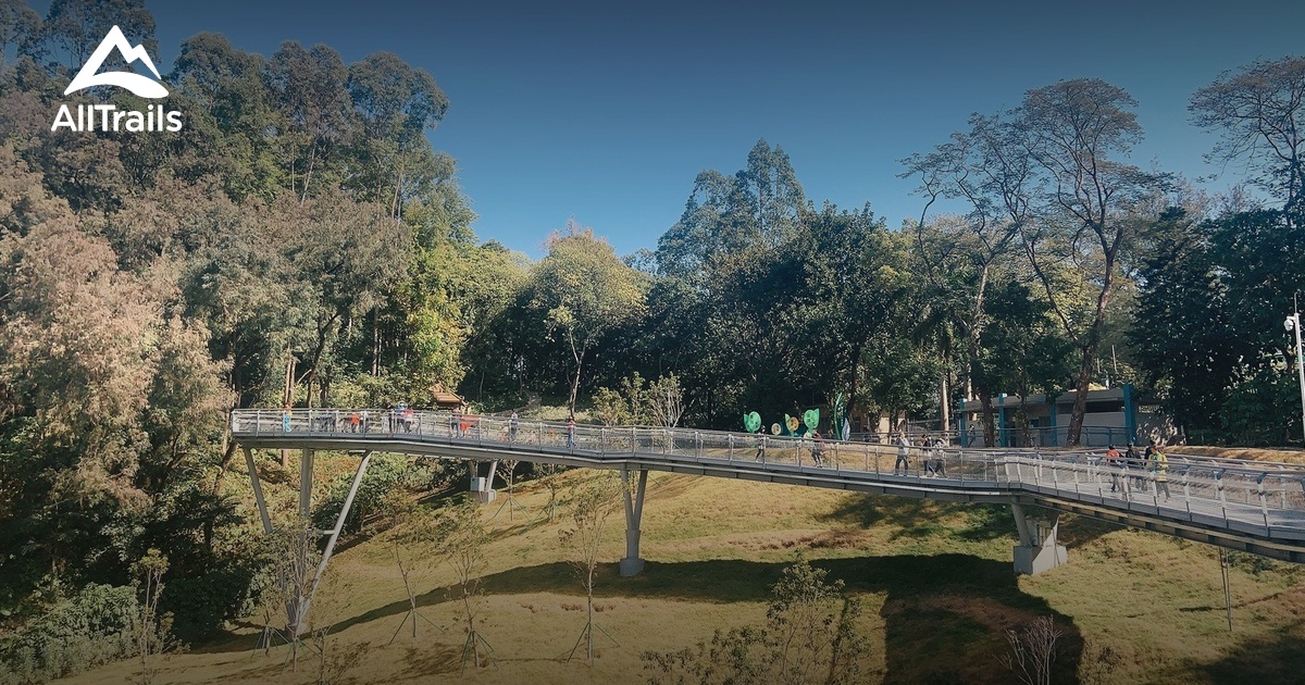 Best hikes and trails in Yuexiu Park | AllTrails