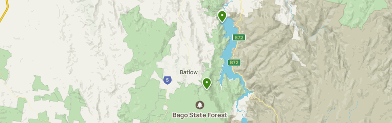 Best Hikes and Trails in Bago State Forest | AllTrails