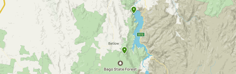 Best Hikes and Trails in Bago State Forest | AllTrails