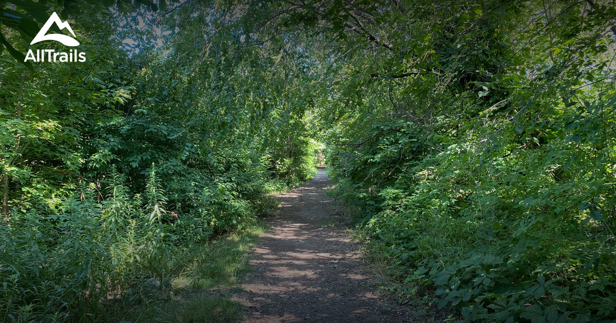 Best hikes and trails in Scheef East Point Nature Preserve | AllTrails