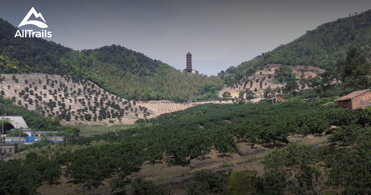 Best hikes and trails in Tiantong Forest Park | AllTrails
