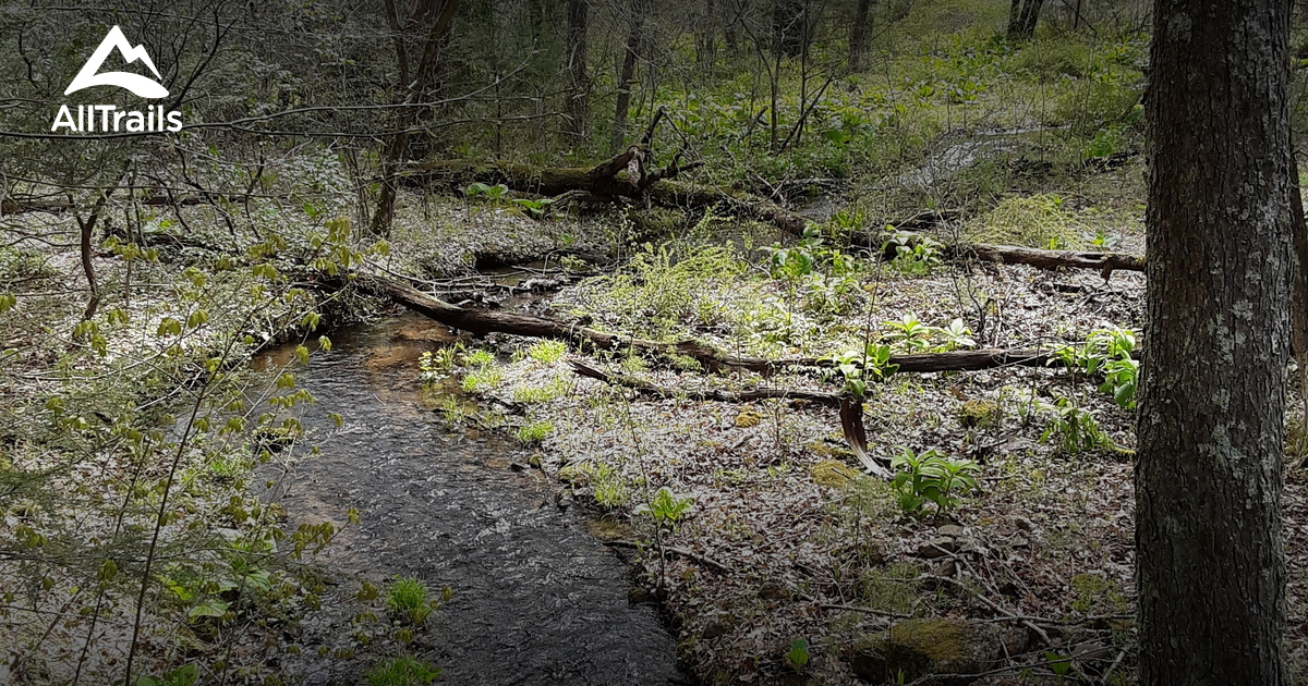Best cave trails in Nipmuck State Forest | AllTrails
