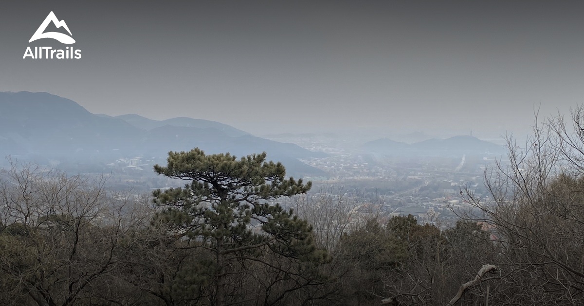 Best forest trails in Fragrant Hills Park | AllTrails