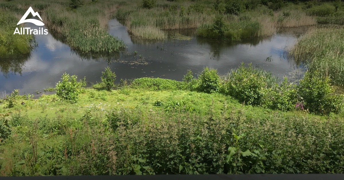 Low Barns Nature Reserve: de beste routes om te wandelen | AllTrails