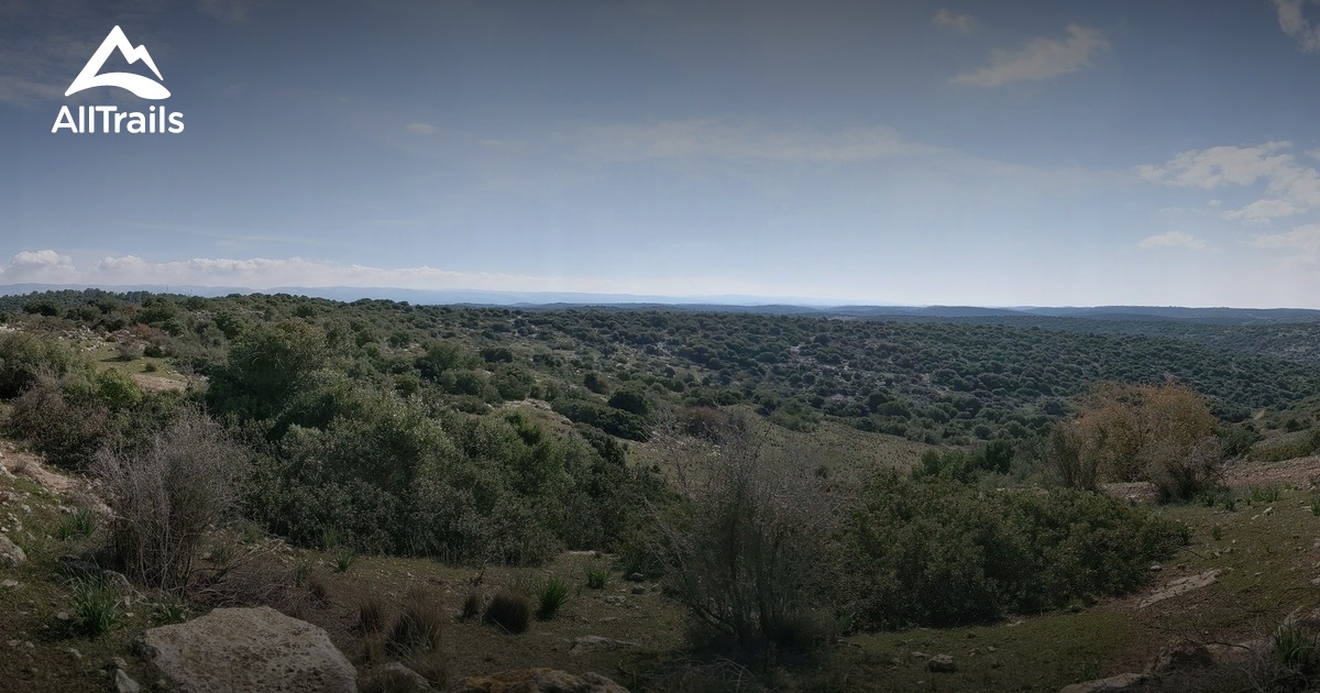 Best cave trails in Adulam Grove Nature Reserve | AllTrails