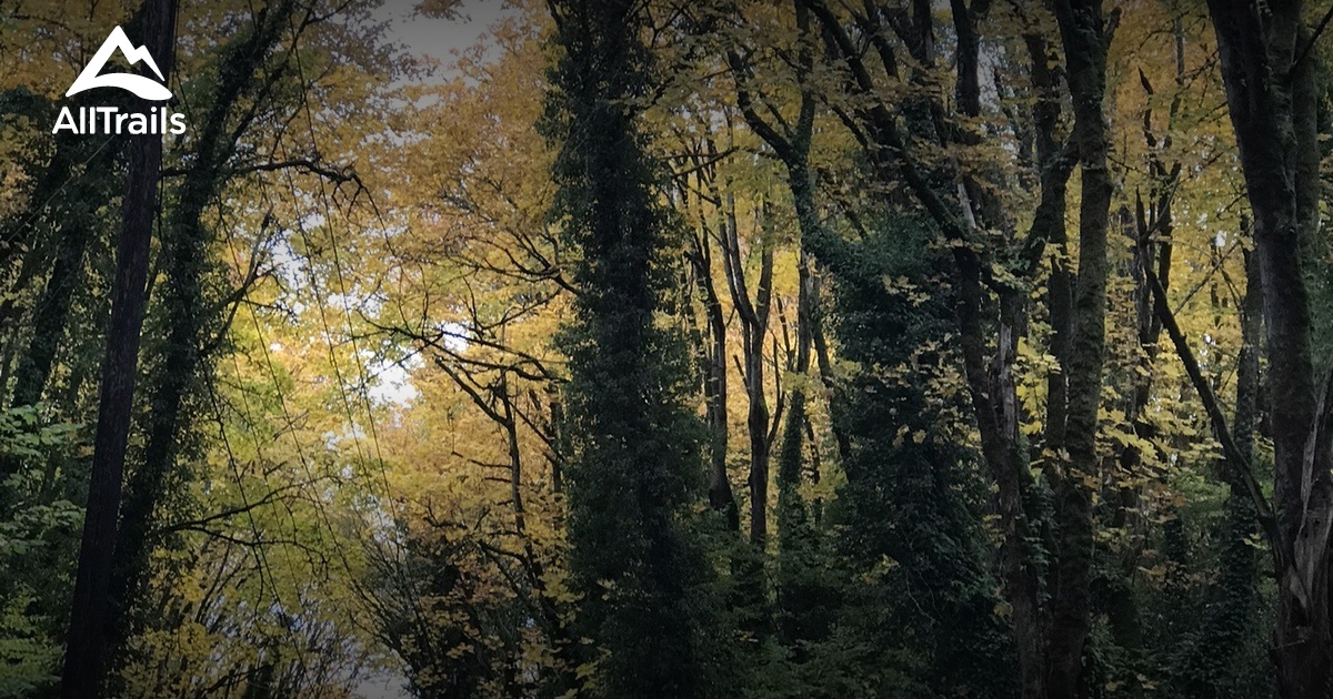 Best hikes and trails in Felida Community Park | AllTrails