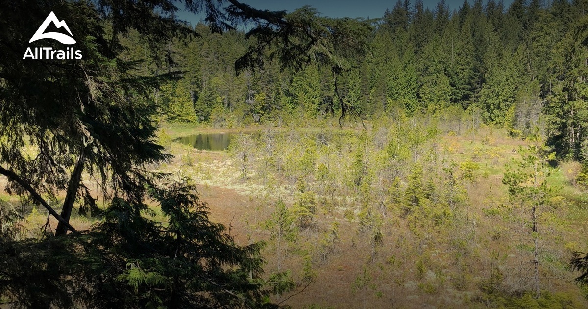 Die Besten Seewege in Sargeant Bay Provincial Park | AllTrails