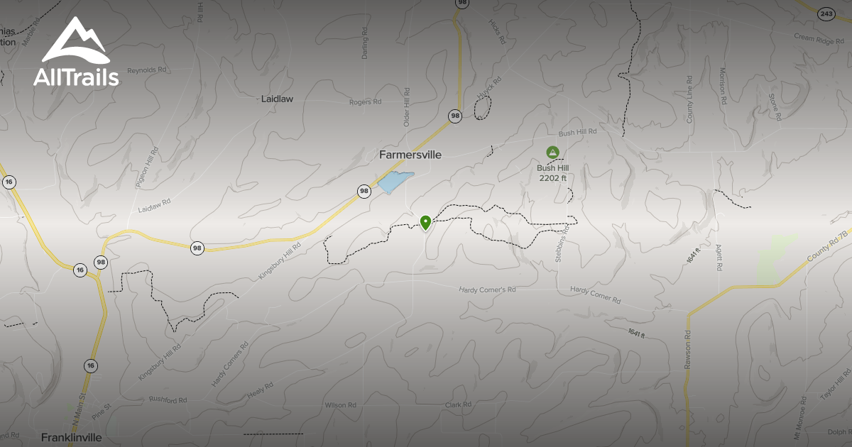 Best hikes and trails in Bush Hill State Forest | AllTrails