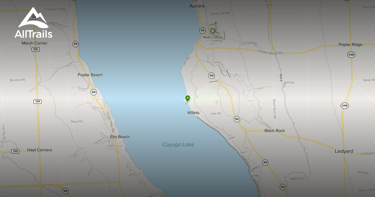 Best hikes and trails in Long Point State Park | AllTrails