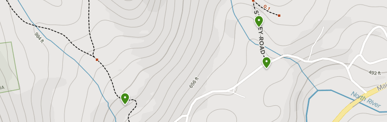 Best Hikes and Trails in Catamount State Forest | AllTrails