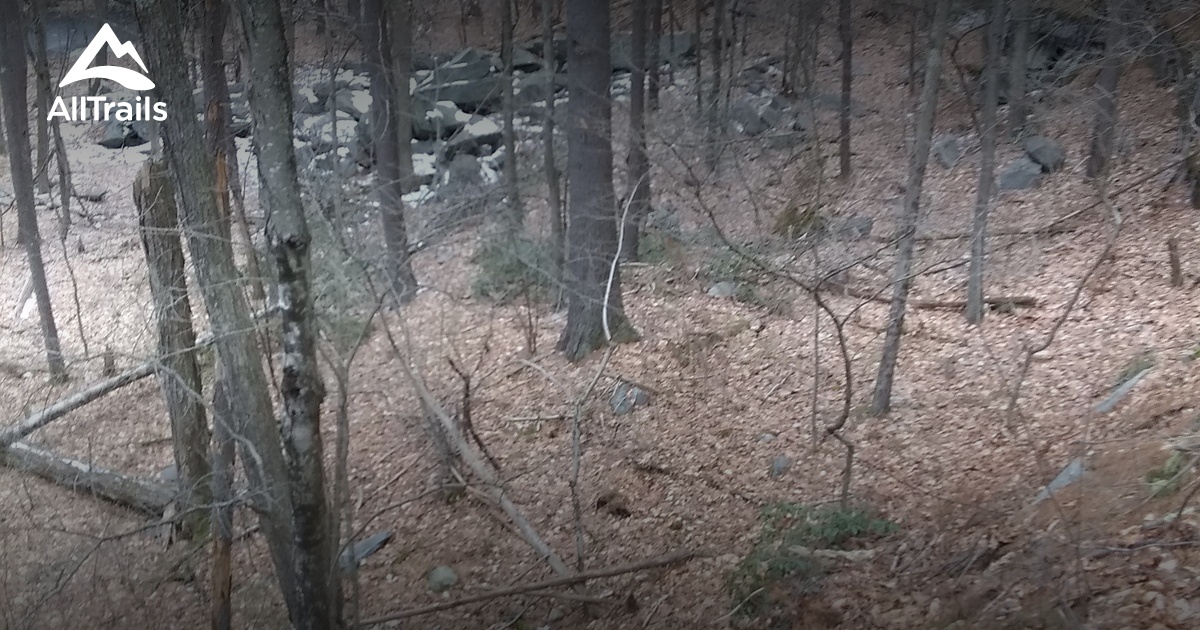 Best hikes and trails in Buffam Brook Community Forest | AllTrails