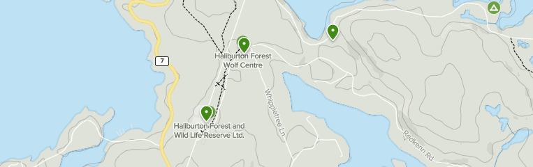 Best Hikes and Trails in Haliburton Forest and Wildlife Reserve | AllTrails