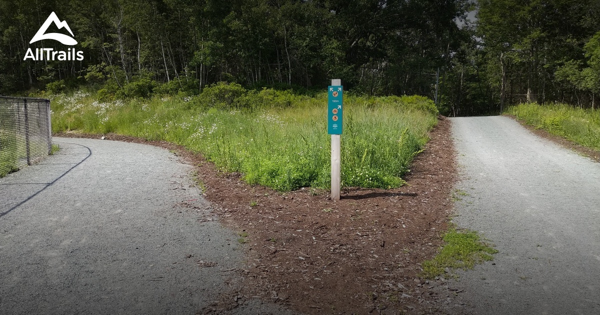 Best hikes and trails in Shannon Park | AllTrails
