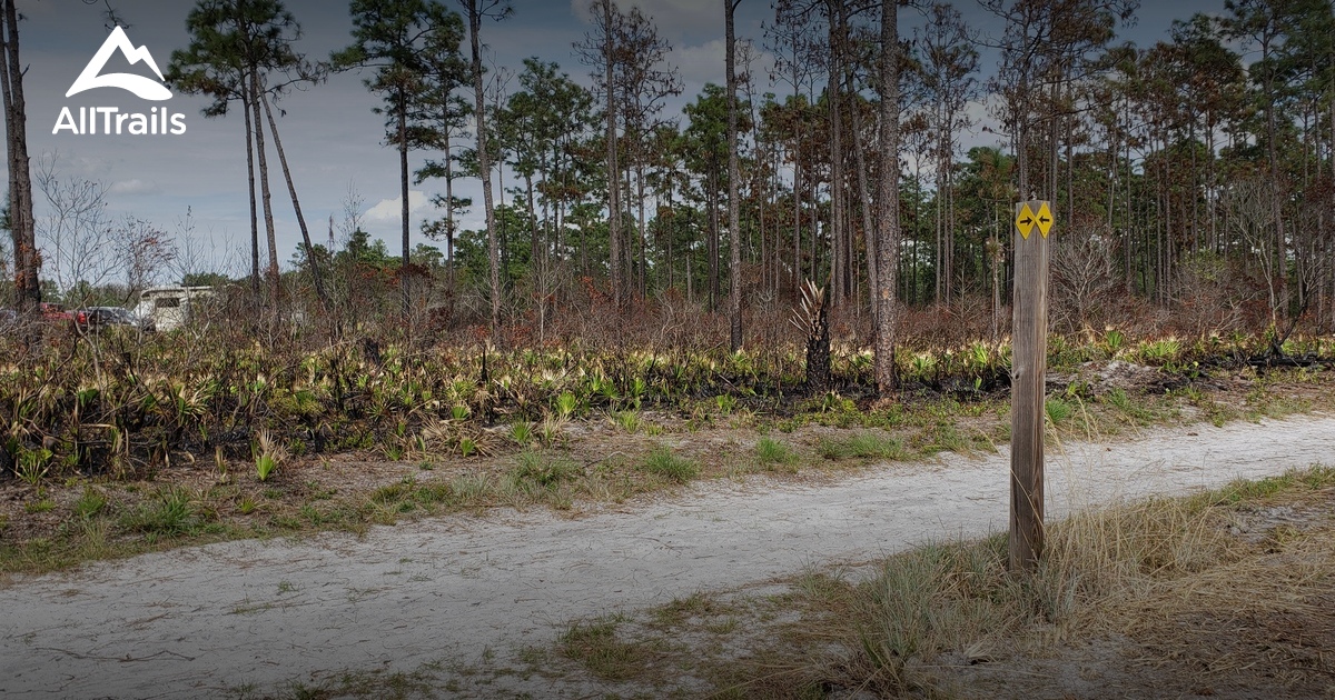 Best hikes and trails in UCF Arboretum | AllTrails