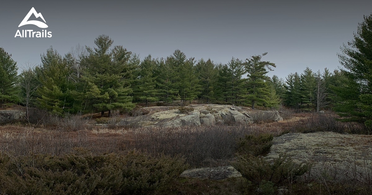 Best hikes and trails in Carp Hills Municipal Nature Reserve | AllTrails