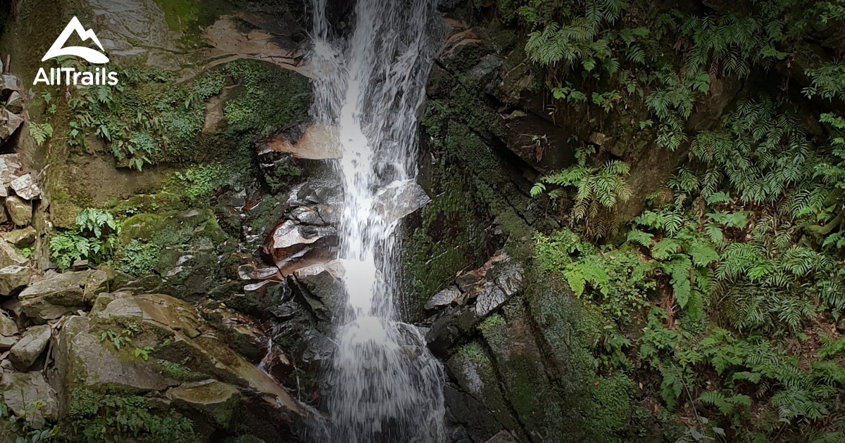 10 Best hikes and trails in Nara Park | AllTrails
