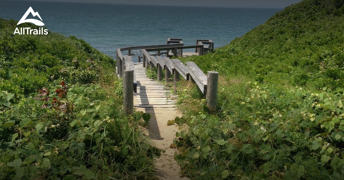 Best hikes and trails in Menemsha Hills Reservation | AllTrails