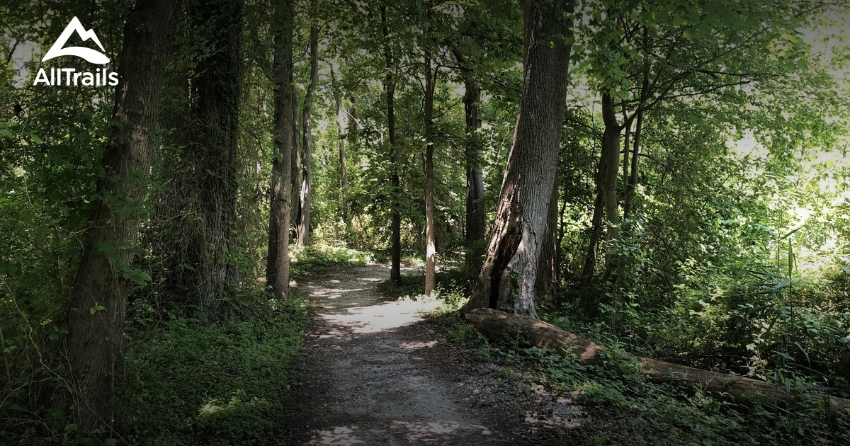 Best hikes and trails in Terrapin Nature Park | AllTrails