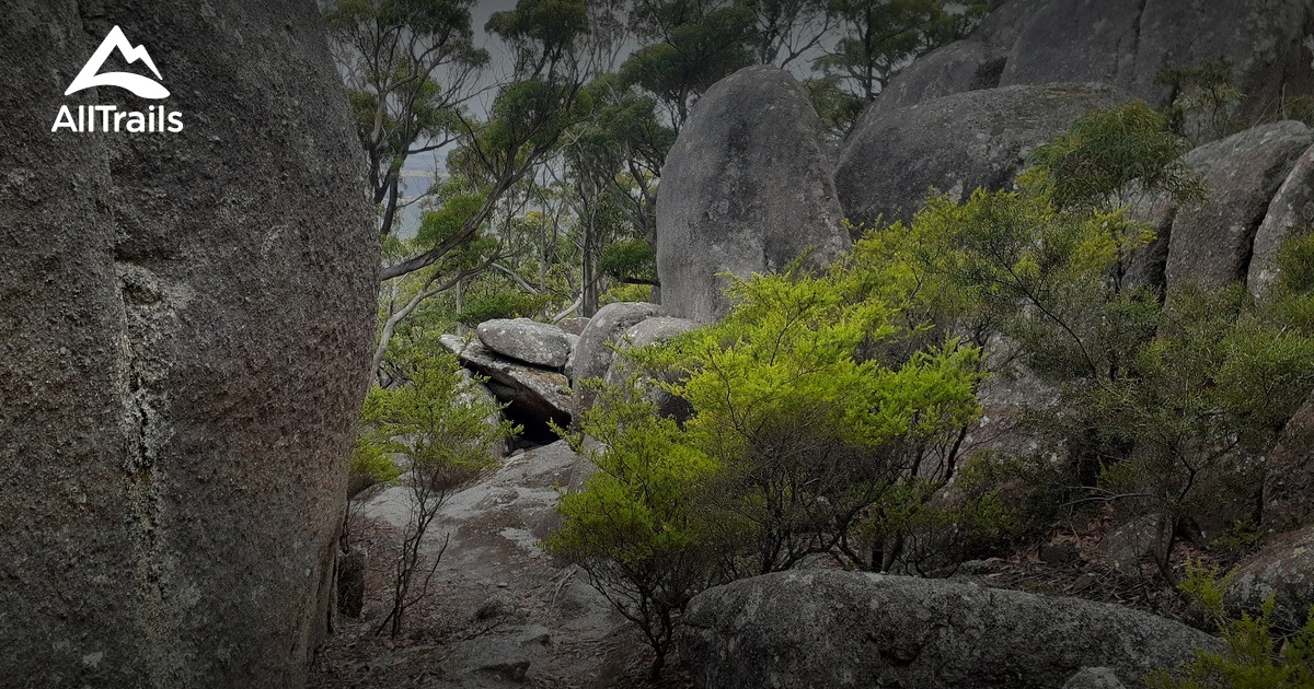 Best hikes and trails in Cameron Regional Reserve | AllTrails