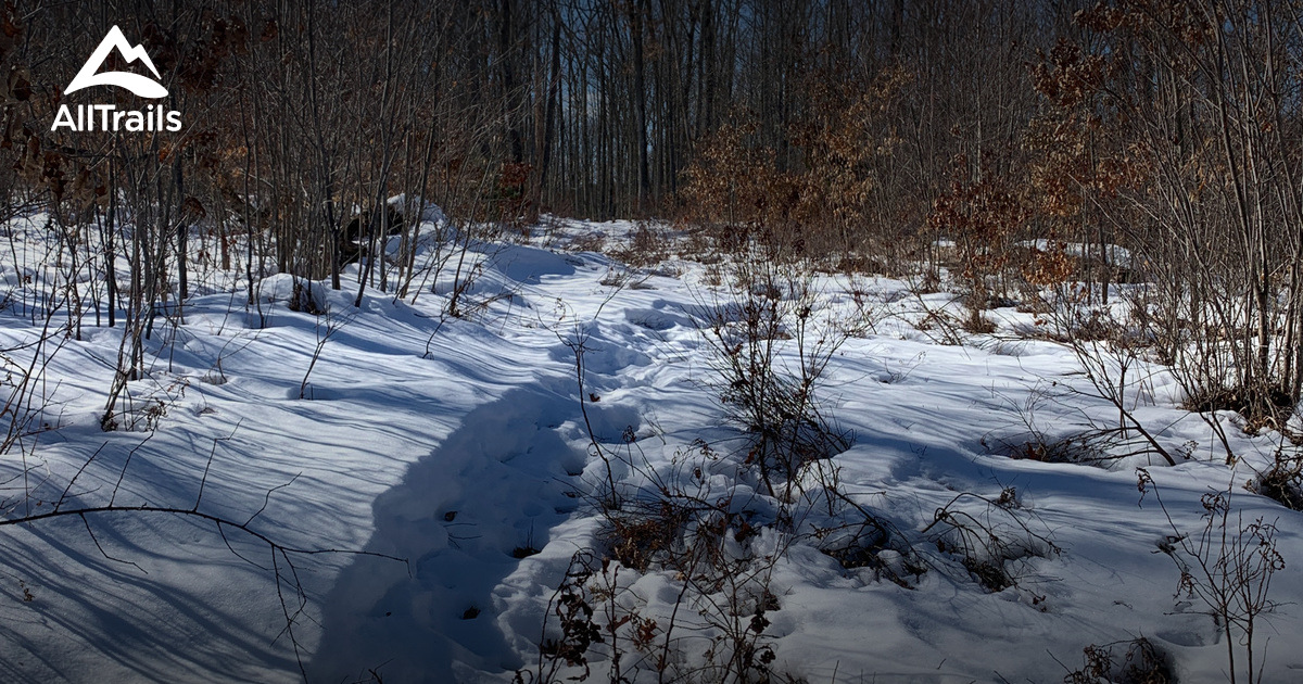 Best hikes and trails in Shuman Point Natural Area | AllTrails