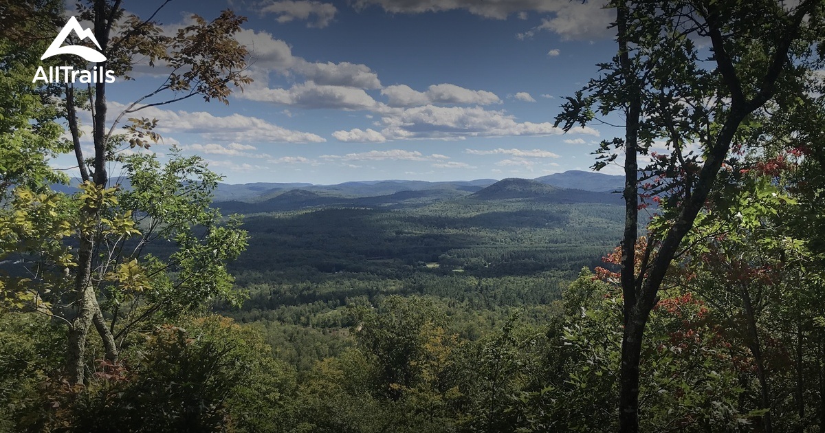Best views trails in Bethel Community Forest | AllTrails