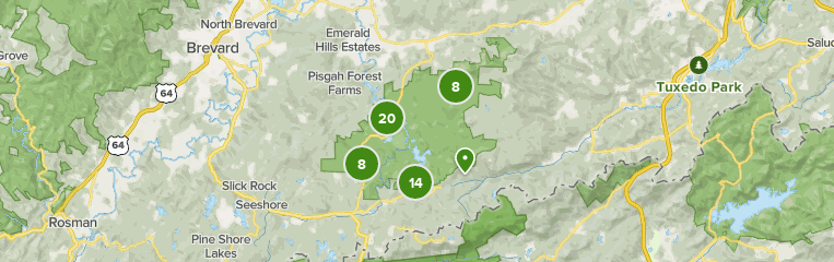 Bedste 10 ruter i DuPont State Recreational Forest | AllTrails