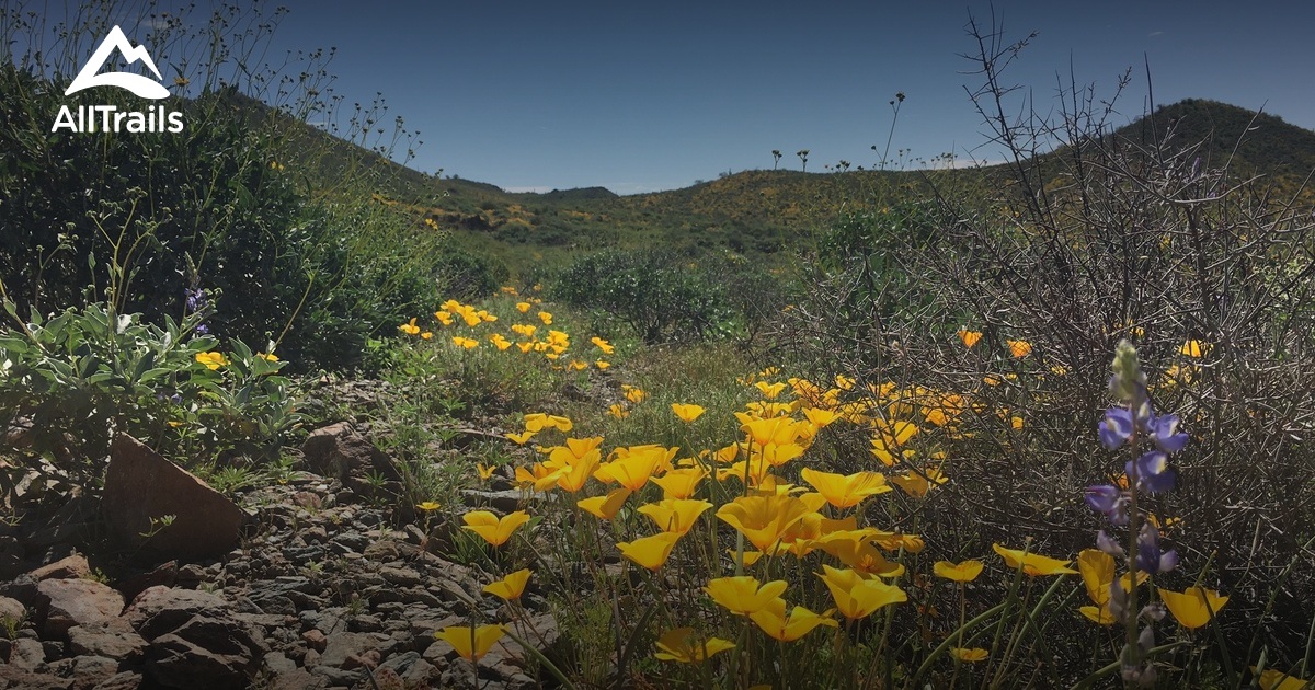 Best hikes and trails in Arizona State Trust Land | AllTrails
