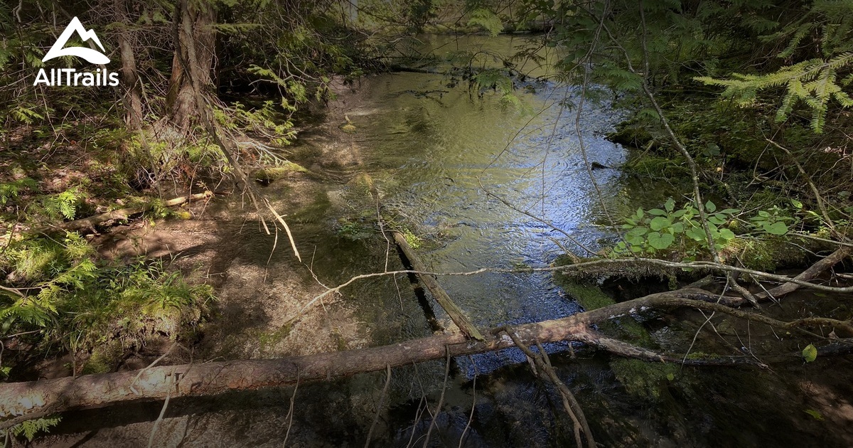 Best hikes and trails in Sulphur Spring Conservation Area | AllTrails