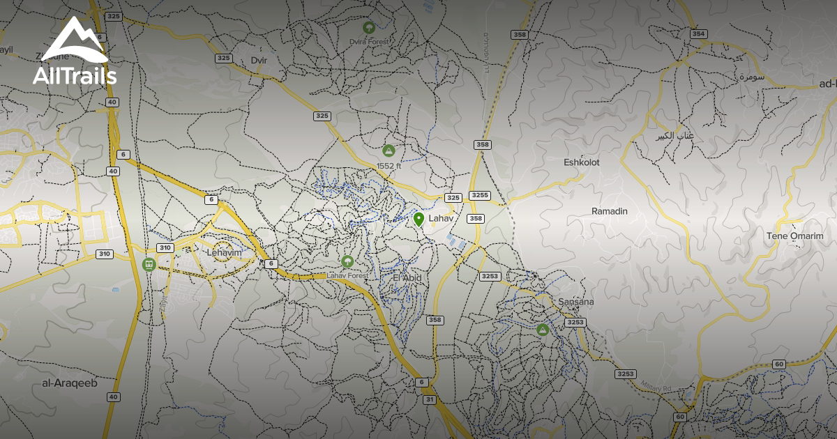10 Best hikes and trails in Lahav Forest | AllTrails