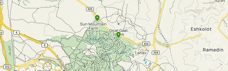 Best Hikes and Trails in Lahav Forest | AllTrails