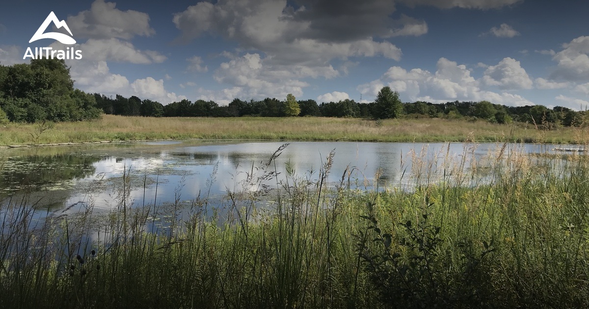 Best walking trails in Blackwell Forest Preserve | AllTrails