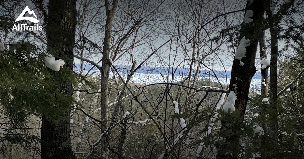 Best hikes and trails in Big Ravine Nature Preserve | AllTrails