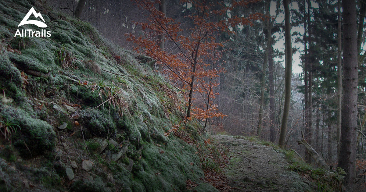 10 Best hikes and trails in Rhine-Westerwald Nature Park | AllTrails
