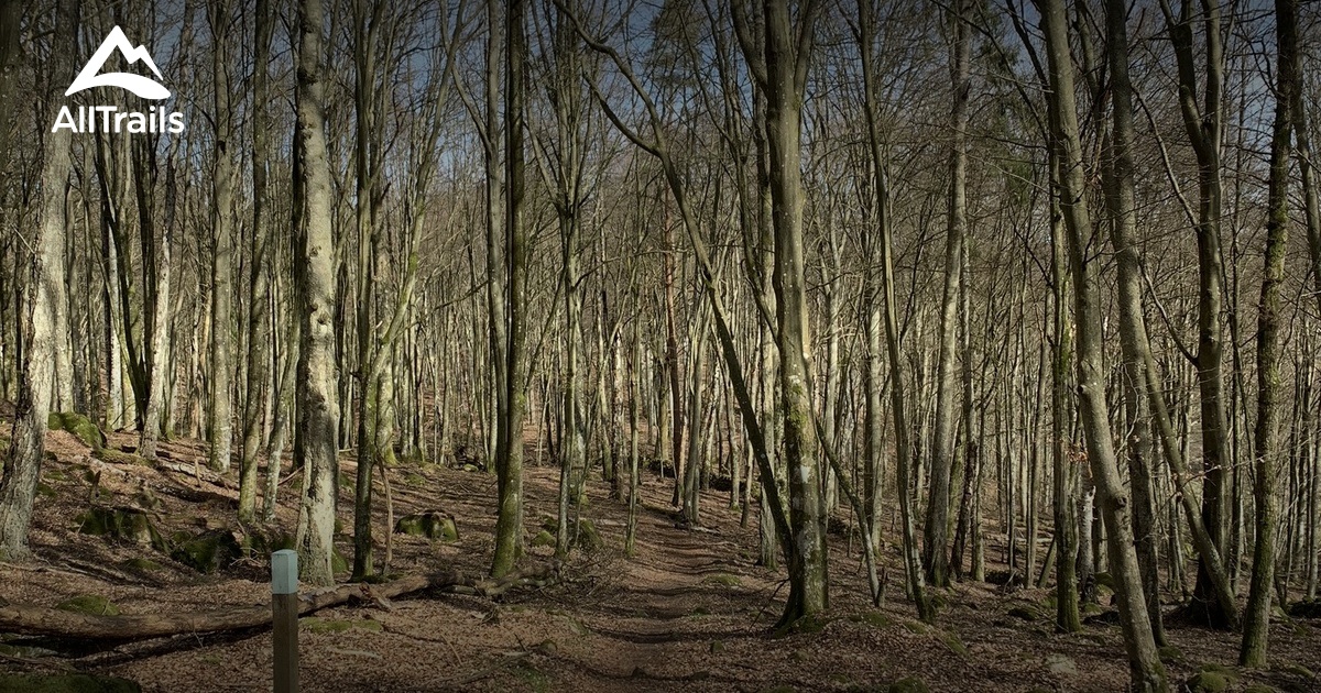 Best walking trails in Näsums bokskogar | AllTrails