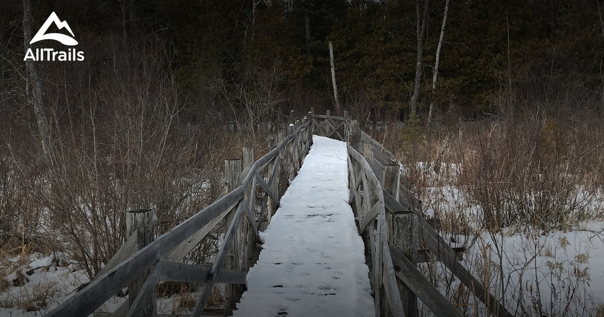 Best hikes and trails in Limerick Forest North | AllTrails