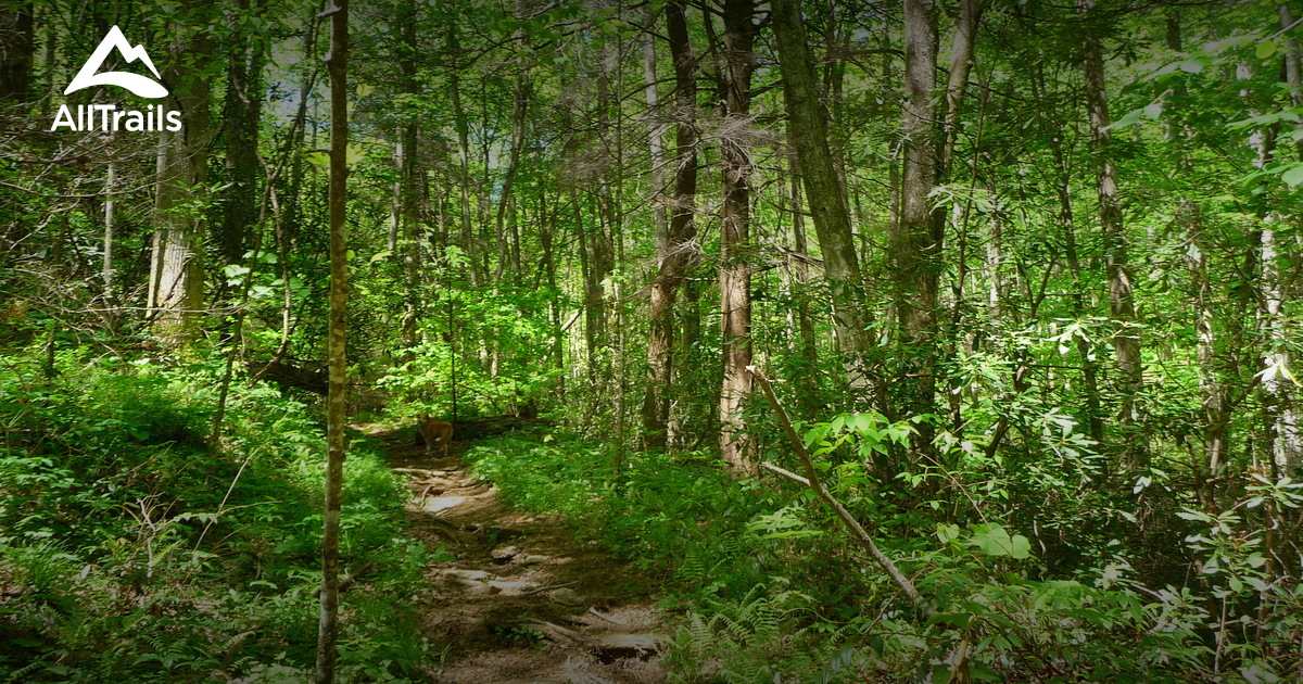 10 Best lake trails in Mountain Bridge Wilderness Area | AllTrails