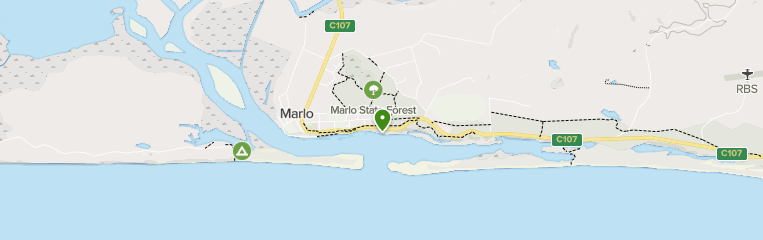 Best Trails in Marlo State Forest | AllTrails