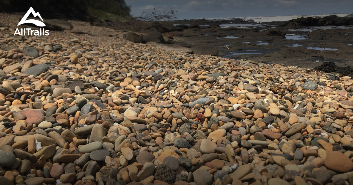 Best hikes and trails in Broulee Island Nature Reserve | AllTrails