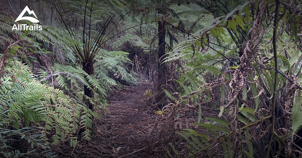 Best hikes and trails in Labertouche Cave Geological Reserve | AllTrails