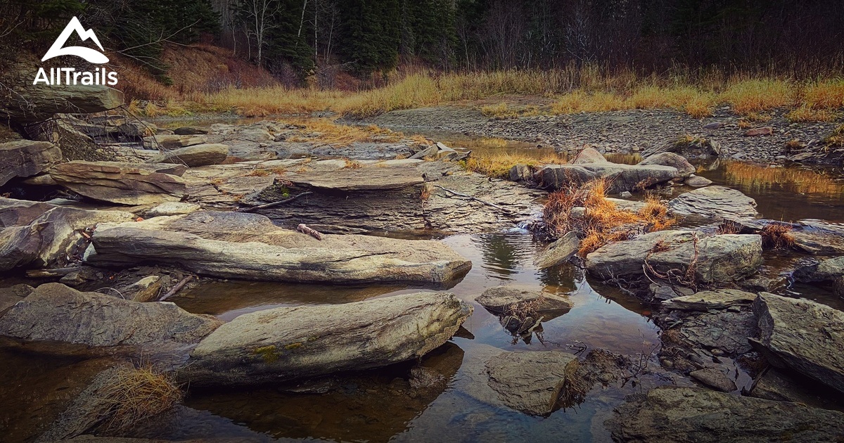 Best hikes and trails in Coates Conservation Lands | AllTrails