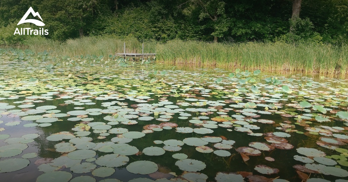 Best hikes and trails in Gale Woods Farm | AllTrails